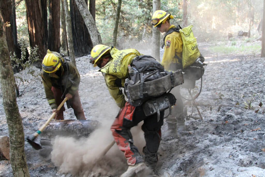 Task Force Rattlesnake members pulled from LA mission to battle state's ...