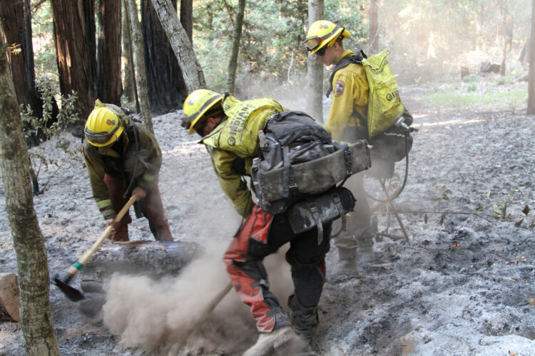 Task Force Rattlesnake members pulled from LA mission to battle state's ...